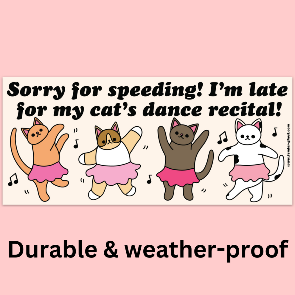 My Cat's Dance Recital Bumper Sticker – Tender Ghost