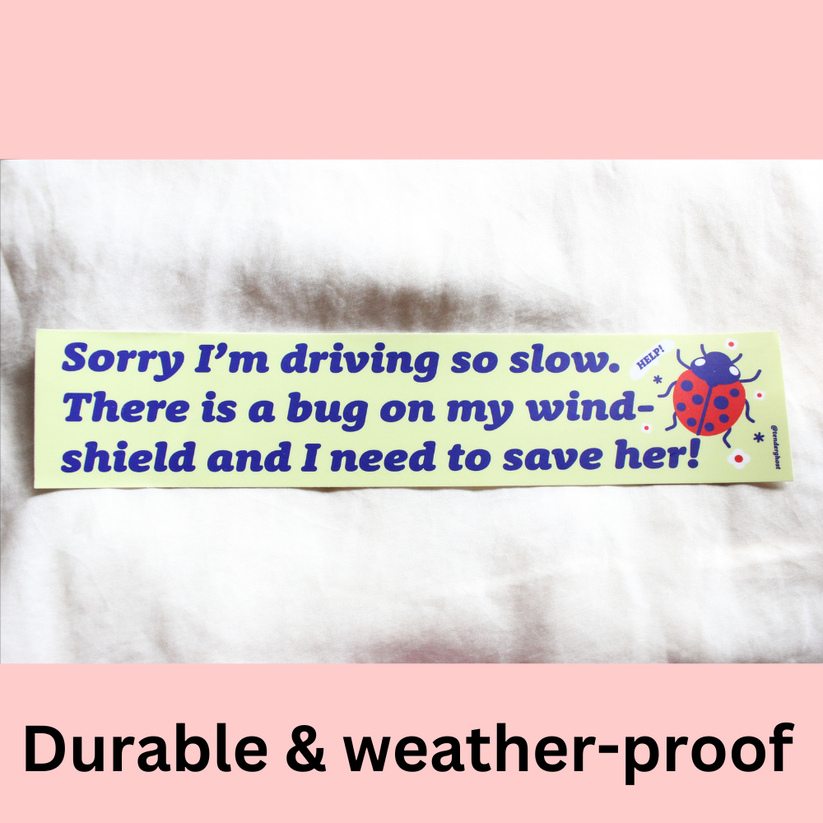 Bug On My Windshield Bumper Sticker – Tender Ghost