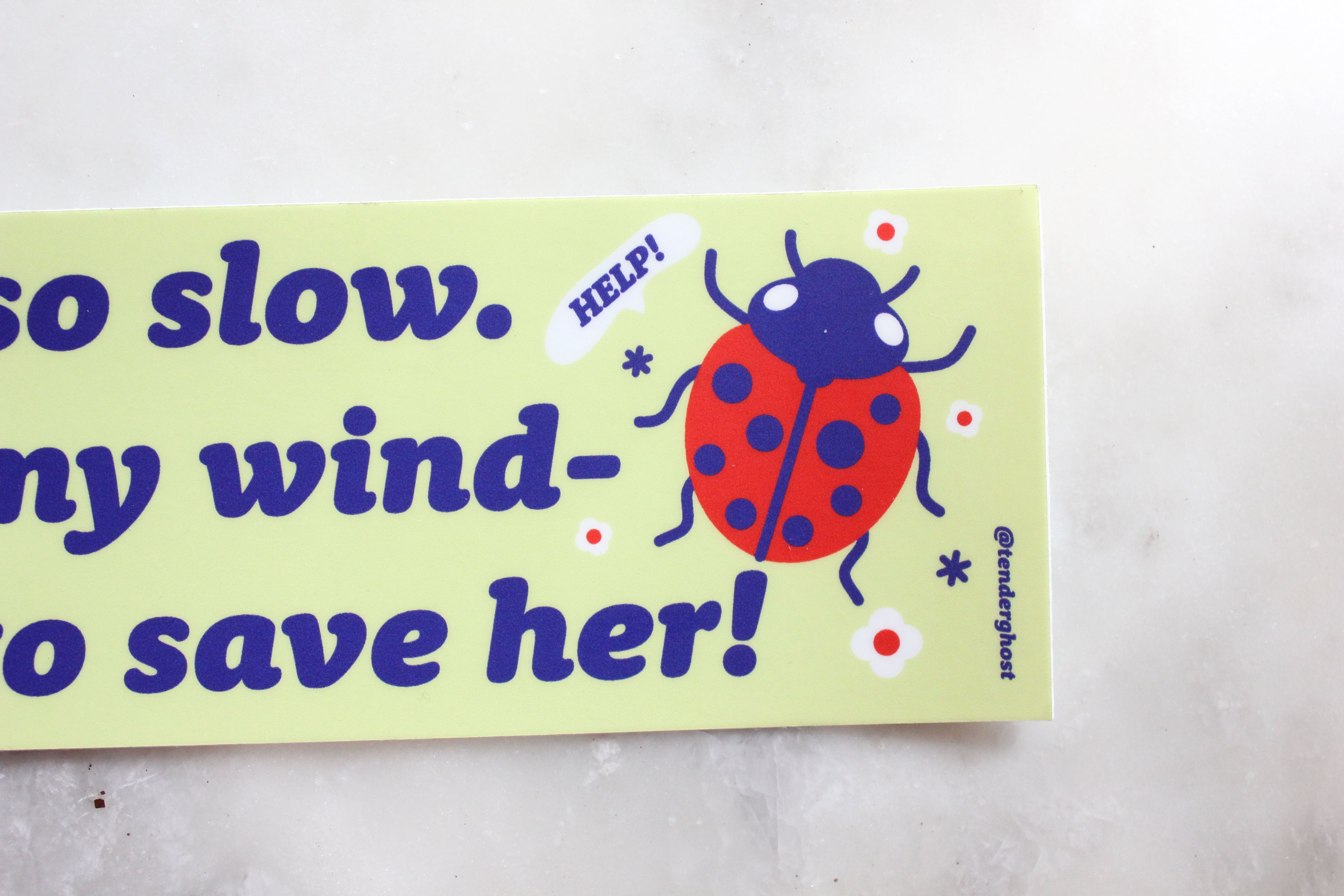 Bug On My Windshield Bumper Sticker – Tender Ghost